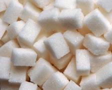 Sugar Coated Stem Cells - Trebuchet Magazine