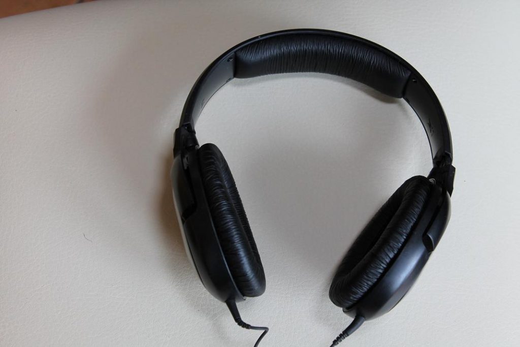 Rebuilding Ears with Mutant Mouse Research - Trebuchet