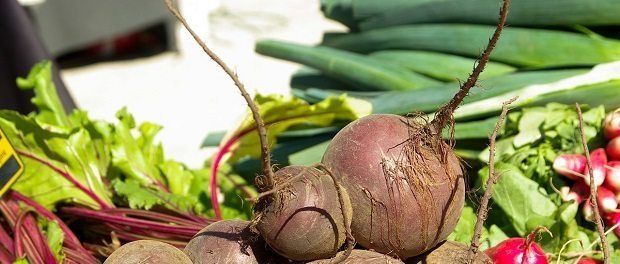 Rooting for You: Beetroot Shots for Brains and Brawn - Trebuchet