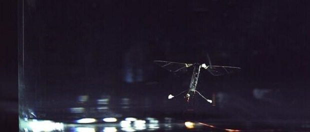 Is This Your Next-Gen Submersible Drone? The Harvard RoboBee - Trebuchet