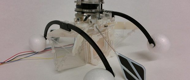 How Did You Expect to Die, and Did it Involve a Floating Hoover? (Row ...