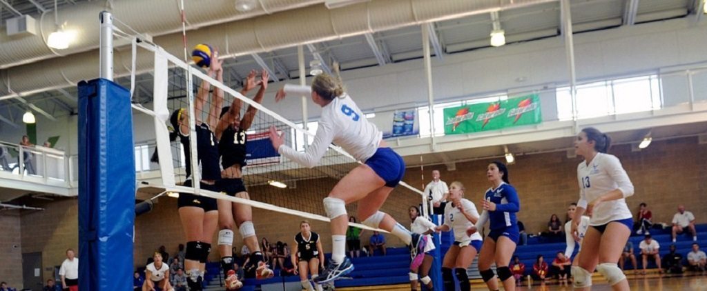 Backslap or Backstab - How Conflict Varies by Gender - Trebuchet