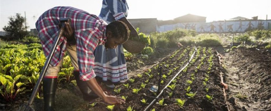 Global Sustainability : Futile Surface-Scratching or Hope for the ...