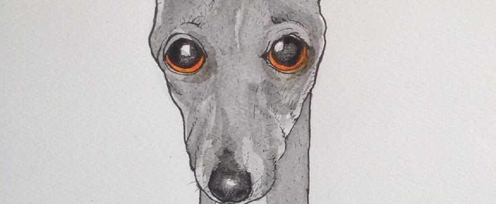 Do Dogs Remember Things