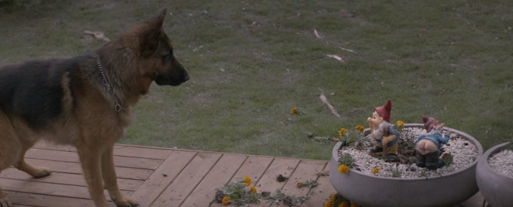 Provoking Delicate Social Order: Under the Tree - Trebuchet