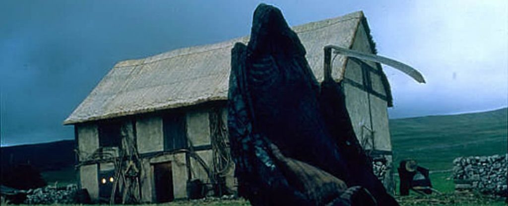 Find The Fish - Trebuchet