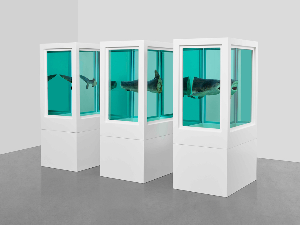 Damien Hirst to Open Huge Exhibition of More Than 50 Early Works ... Damien Hirst to Open Huge Exhibition of More Than 50 Early Works ...